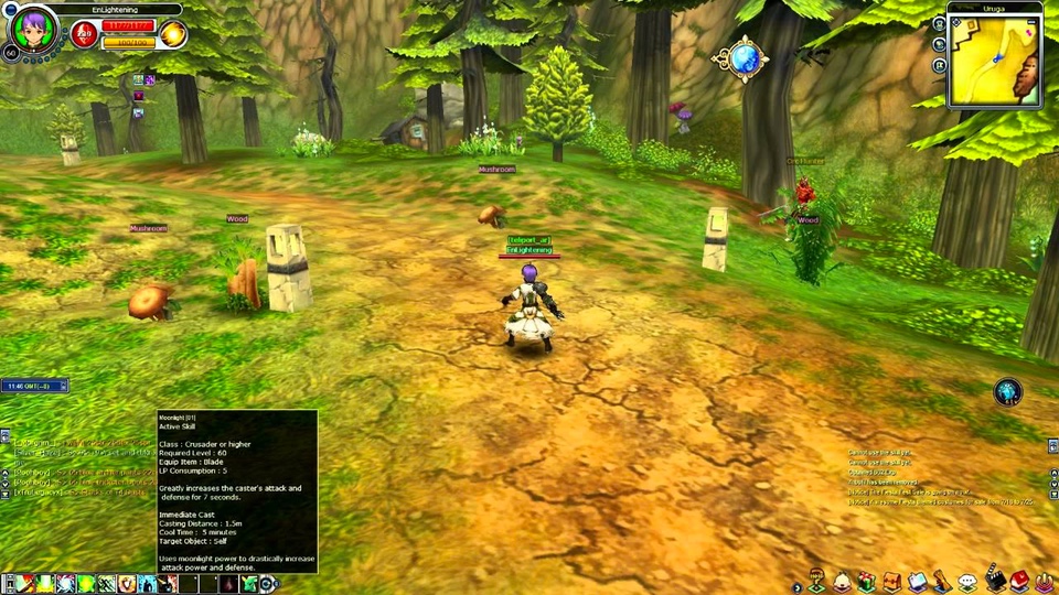 Fiesta Online - Häufige Fragen und Antworten (FAQ)